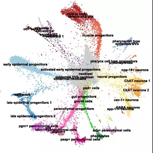 Genome Medicine | Genome Biology 近期精选内容—论文—科学网