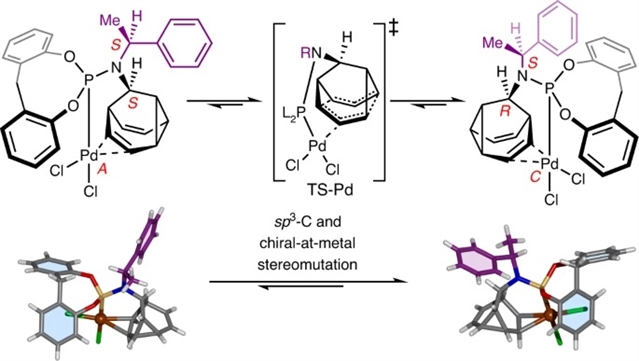 动态sp3-C立体化学的控制—小柯机器人—科学网