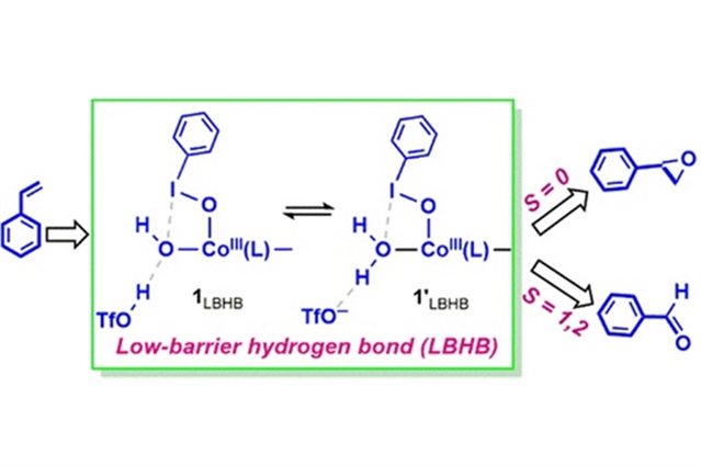 生物启发的非血红素CoIII(PhIO)(OH)配合物通过Bronsted酸促进烯烃氧化—小柯机器人—科学网