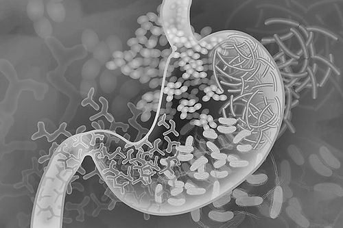 科学网—禁食能“对付”沙门氏菌